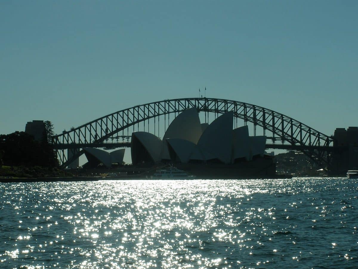 Sydney : un adolescent grièvement mordu à Shark Beach… et ce que cet ...