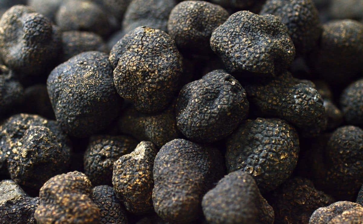 De la truffe chez Lidl ? L’offre qui fait déjà saliver les gourmands