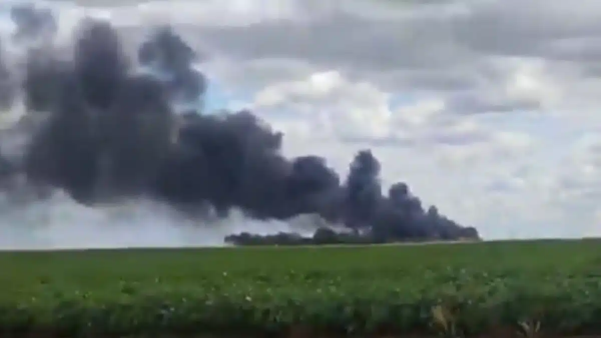 Un incendie ravage la ferme qui produit les chips de McFly et Carlito ...