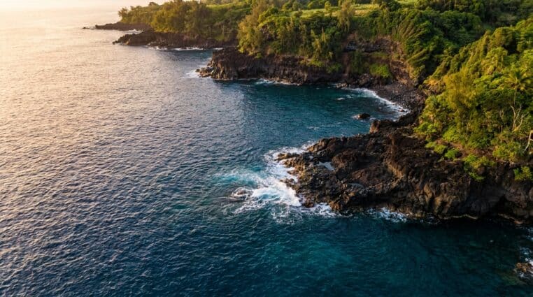 Cette carte officielle révèle les plages du monde où les requins ...
